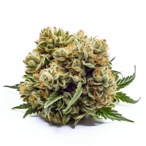 Best Indica Weed Strains in D.C. - Kush Era | Washington DC Cannabis ...