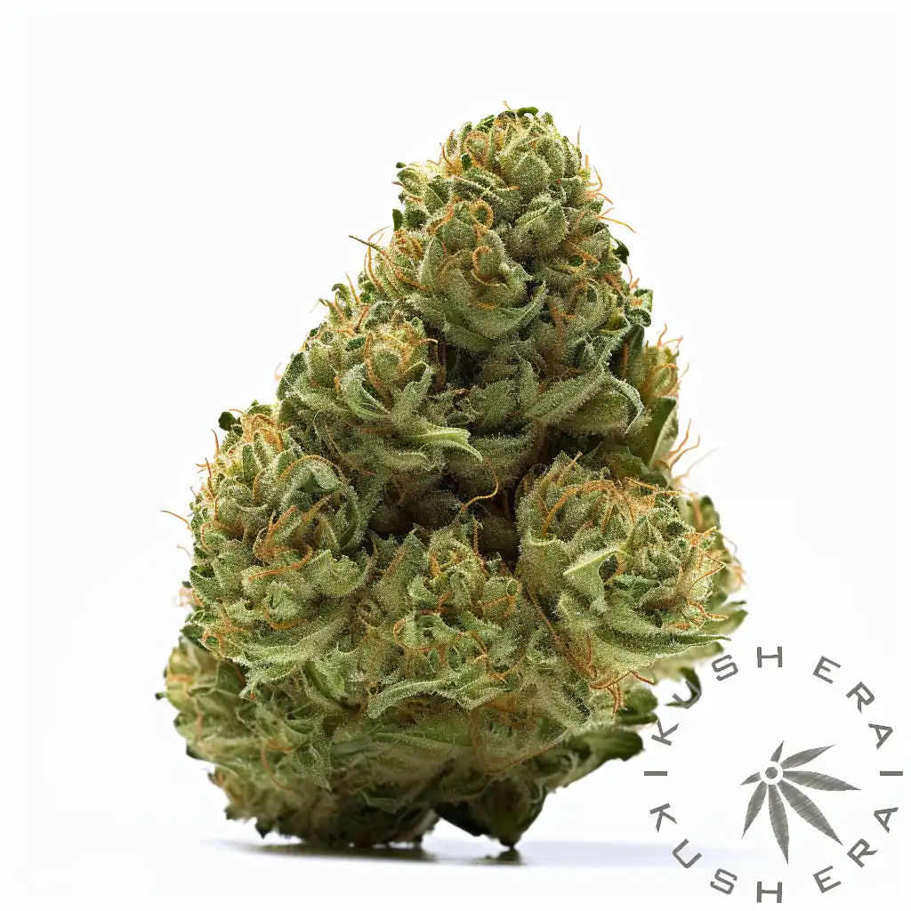 Trainwreck | Hybrid Flower - Kush Era | Washington DC Cannabis Delivery