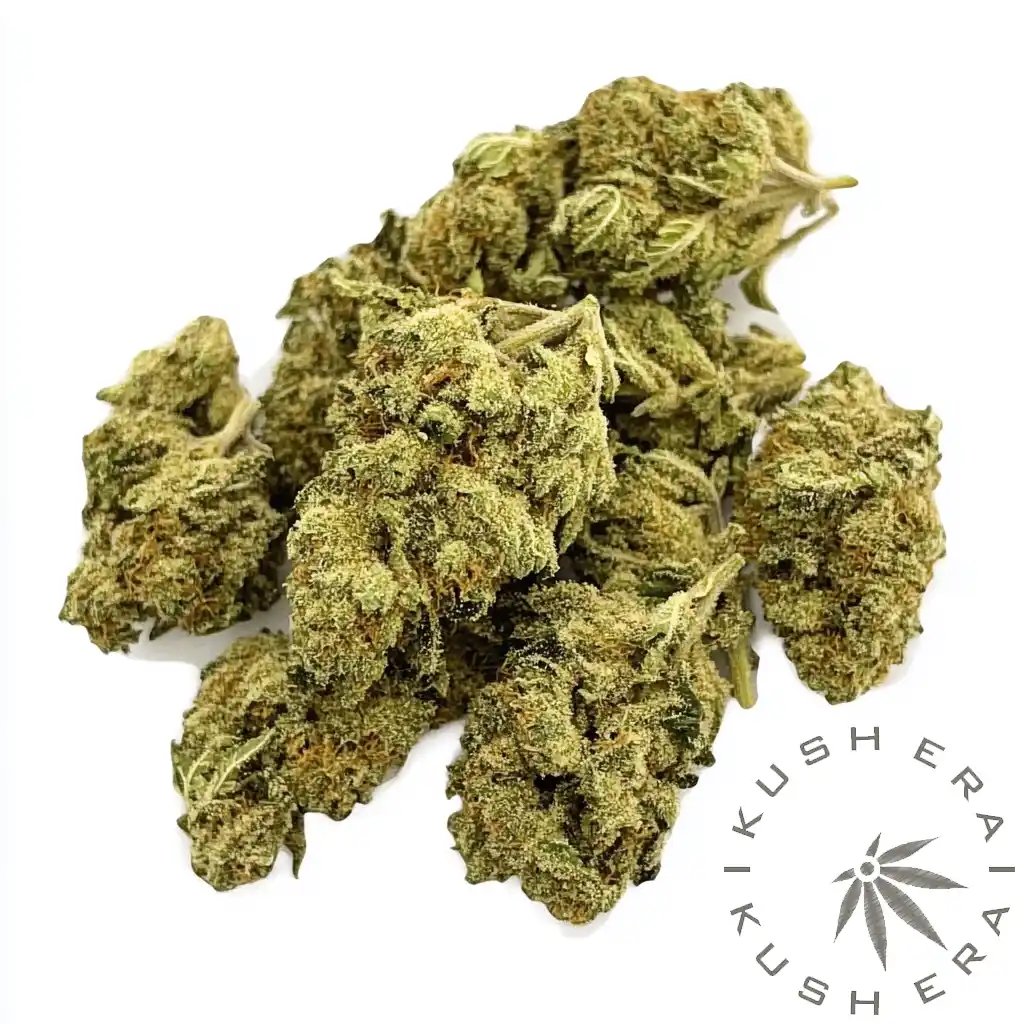 Durban Poison | Sativa Flower - Kush Era | Washington DC Cannabis Delivery